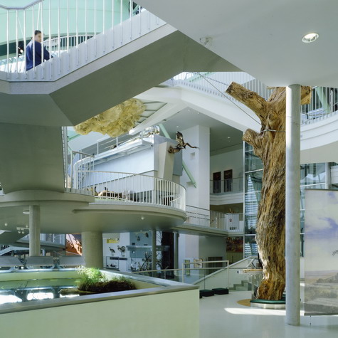 361_Landesmuseum Niederösterreich / museums/cultural buildings ...