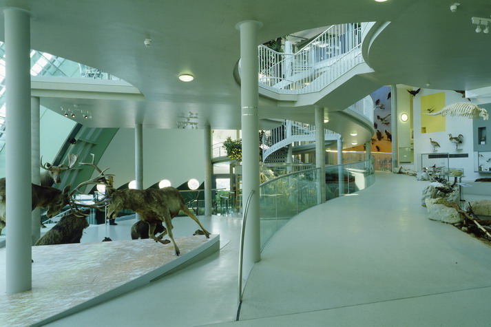 361_Landesmuseum Niederösterreich / museums/cultural buildings ...